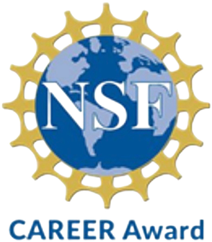 National Science Foundation Logo NSF 75th Anniversary | STELAR STEM